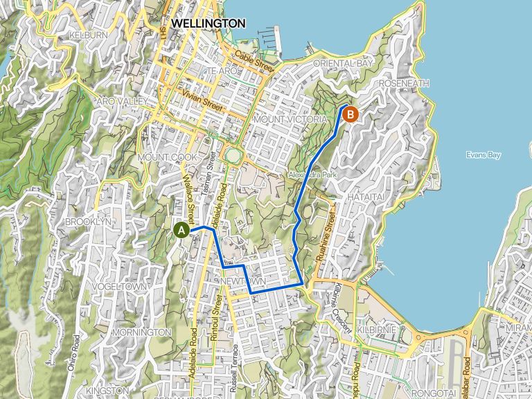 From 87 Wright St to Mount Victoria Lookout | Rennrad-Tour | Komoot
